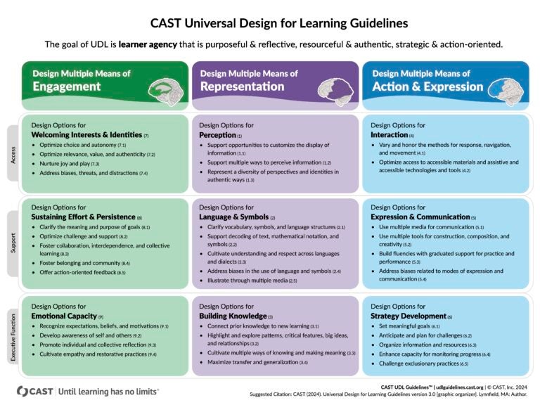 Reflections from AHEAD 2025: The UDL Guidelines 3.0 – Office of ...